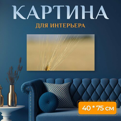 Картина на холсте "Зерно, пшеница, поле" на подрамнике 75х40 см. для интерьера