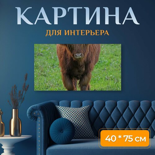 Картина на холсте "Пастбище, корова, крупный рогатый скот" на подрамнике 75х40 см. для интерьера