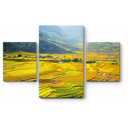 Модульная картина Рисовые поля у подножия гор Вьетнама 100x65