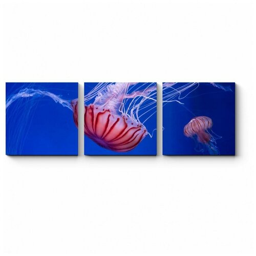 Модульная картина Чудесные медузы90x30