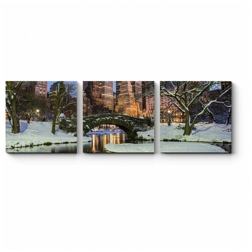 Модульная картина Зимний вид Центрального Парка120x40