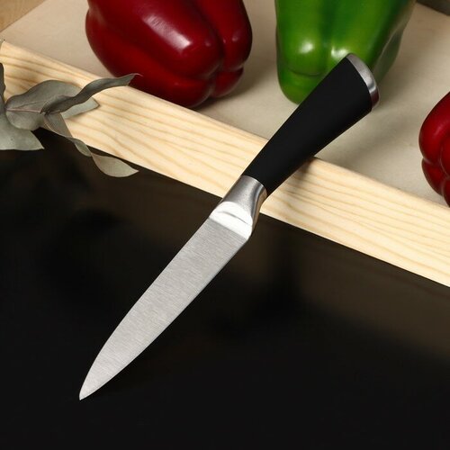 Доляна Нож кухонный Доляна Venus, лезвие 12,5 см, цвет чёрный