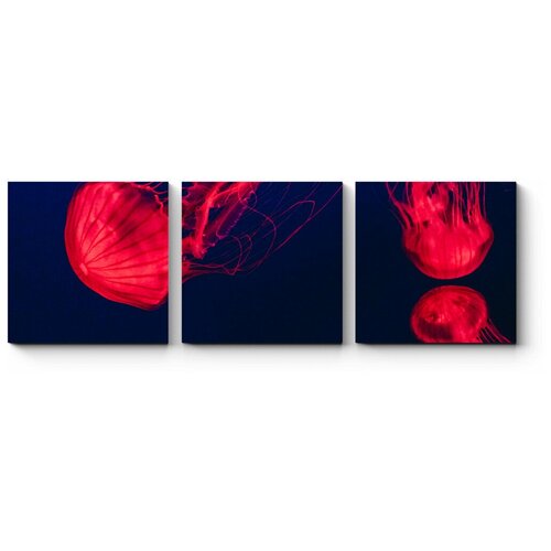 Модульная картина Алая медуза 120x40