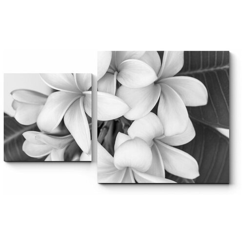 Модульная картина Аромат белых цветов 60x36