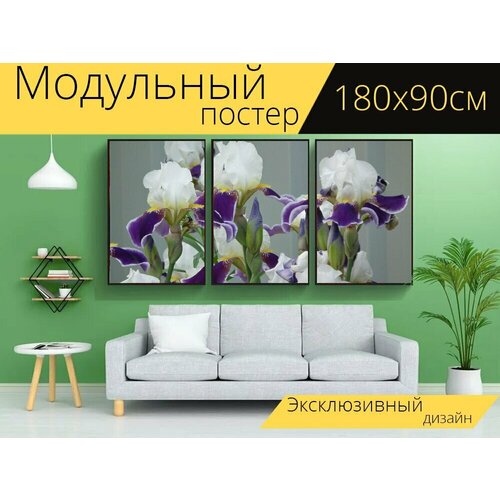 Модульный постер "Цветы, ирис, цветок" 180 x 90 см. для интерьера