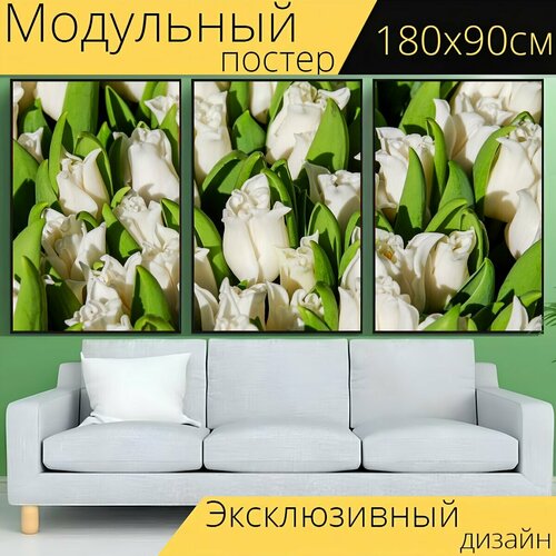 Модульный постер "Тюльпаны, цветок, цвести" 180 x 90 см. для интерьера