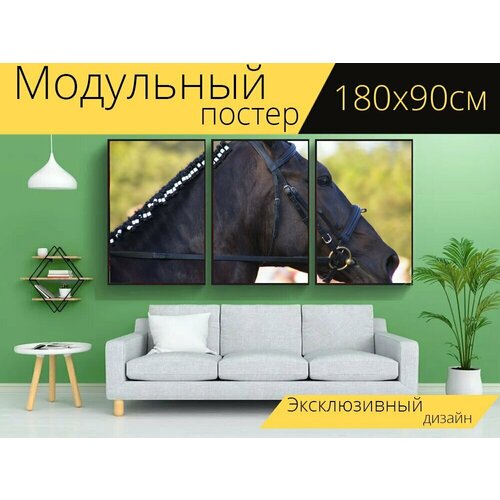 Модульный постер "Лошадь, уздечка, животное" 180 x 90 см. для интерьера