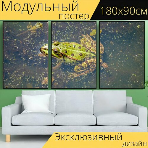 Модульный постер "Лягушка, вода, зеленый" 180 x 90 см. для интерьера