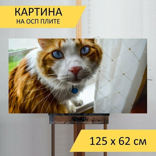 Картина на ОСП 125х62 см. "Кошка, кошачий, красивая" горизонтальная, для интерьера, с креплениями