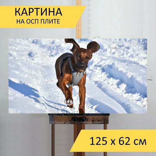 Картина на ОСП 125х62 см. "Горная гончая, собака, снег" горизонтальная, для интерьера, с креплениями