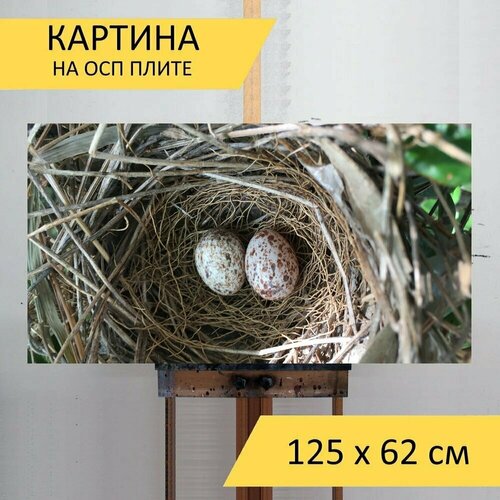 Картина на ОСП 125х62 см. "Яйца, яйца в гнезде, гнездо" горизонтальная, для интерьера, с креплениями