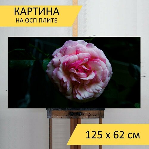 Картина на ОСП 125х62 см. "Розовый, розы, цветы" горизонтальная, для интерьера, с креплениями