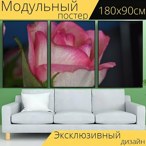 Модульный постер "Розовый, цветок, цветы" 180 x 90 см. для интерьера