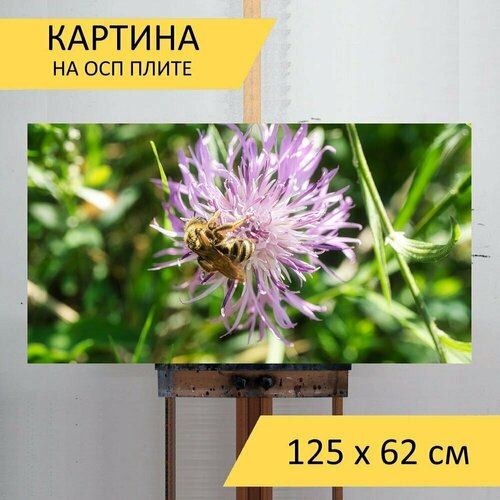 Картина на ОСП 125х62 см. "Пчела, цветок, насекомые" горизонтальная, для интерьера, с креплениями