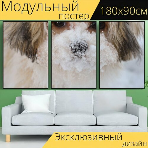 Модульный постер "Собака, домашнее животное, снег" 180 x 90 см. для интерьера