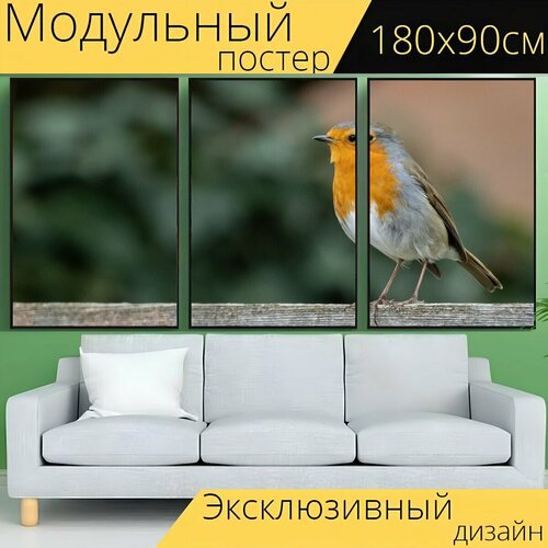 Модульный постер "Робин, птица, древесина" 180 x 90 см. для интерьера