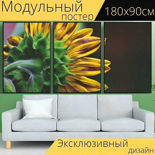 Модульный постер "Подсолнух, летом, сад" 180 x 90 см. для интерьера