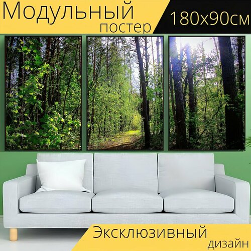 Модульный постер "Лес, лесная дорога, деревья" 180 x 90 см. для интерьера