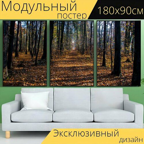 Модульный постер "Лес, осень, деревья" 180 x 90 см. для интерьера