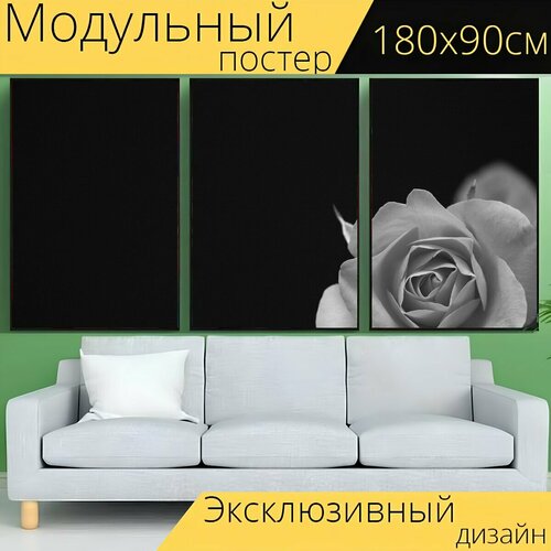 Модульный постер "Роза, цветок, чернить" 180 x 90 см. для интерьера