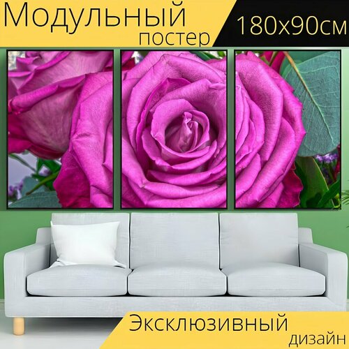 Модульный постер "Роза, розовый, фиолетовый" 180 x 90 см. для интерьера