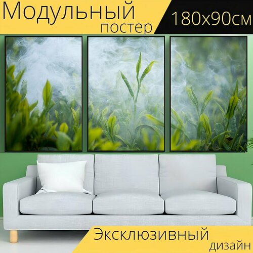 Модульный постер "Чай, зеленый чай" 180 x 90 см. для интерьера