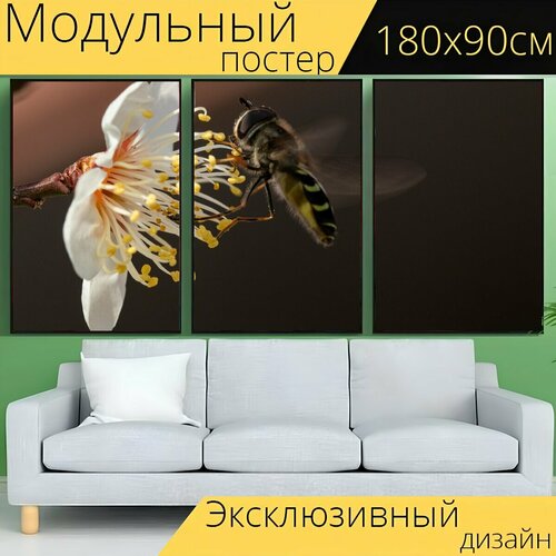 Модульный постер "Цветение сливы, цветок, пчела" 180 x 90 см. для интерьера