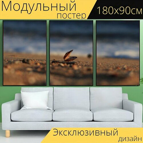 Модульный постер "Ракушка, море, песок" 180 x 90 см. для интерьера