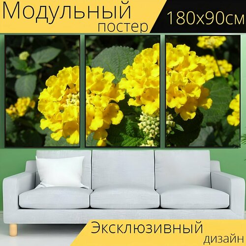 Модульный постер "Лантана камара, желтый, цветы" 180 x 90 см. для интерьера