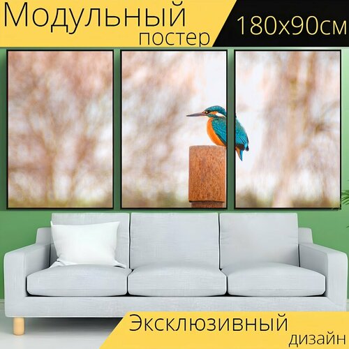 Модульный постер "Зимородок, птица, сидя" 180 x 90 см. для интерьера