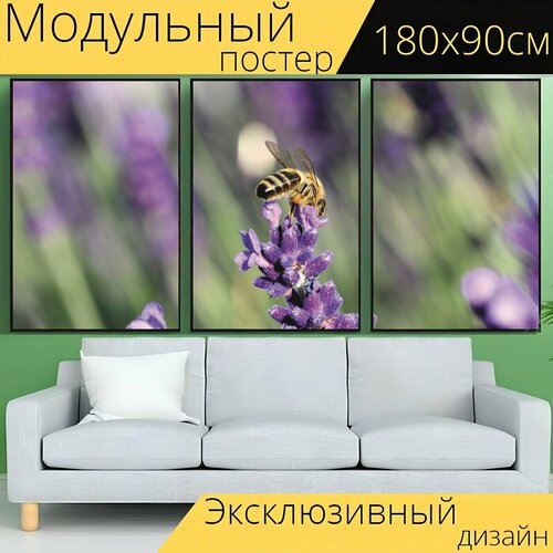 Модульный постер "Пчела, насекомое, лаванда" 180 x 90 см. для интерьера