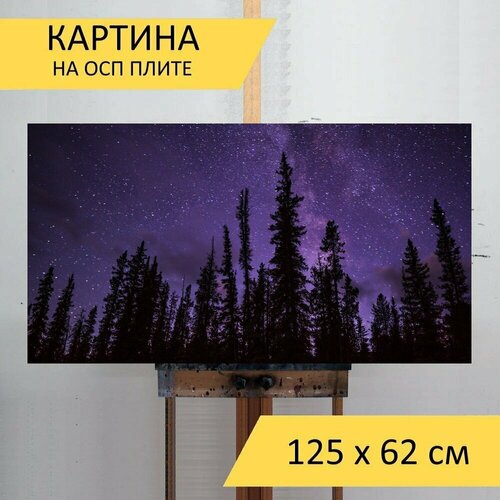 Картина на ОСП 125х62 см. "Звезды, лес, ночное небо" горизонтальная, для интерьера, с креплениями