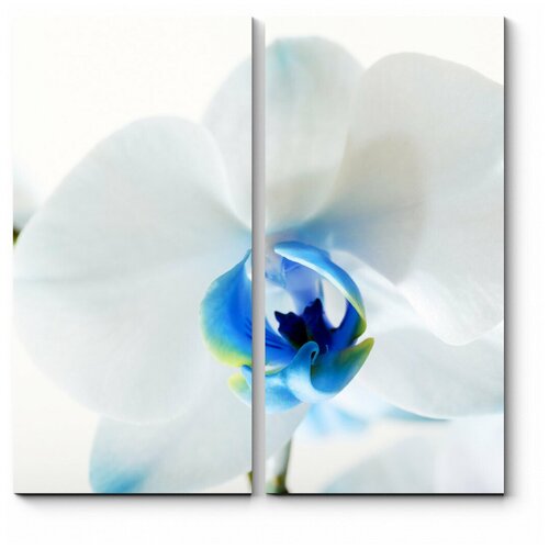 Модульная картина Белая орхидея 100x100