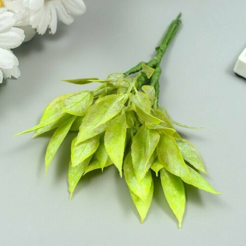 Искусственное растение для творчества Рукус 1 букет-6 веточек зелёный 13 см/по 10 шт