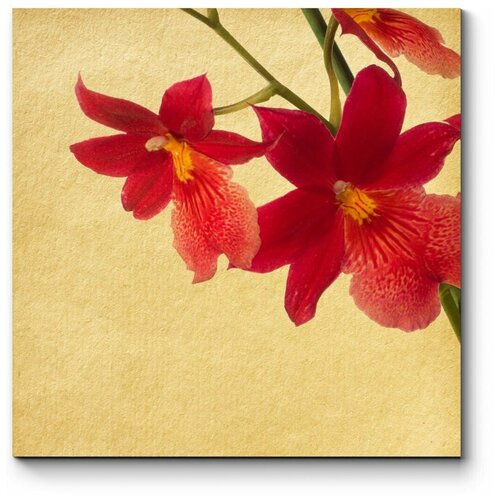 Модульная картина Красные орхидеи40x40