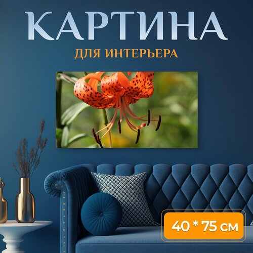 Картина на холсте "Тигровая лилия, апельсин, цветок" на подрамнике 75х40 см. для интерьера