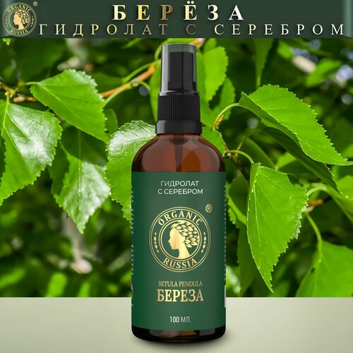 Гидролат с серебром Берёза ORGANIC RUSSIA для зрелой, комбинированной, проблемной кожи, премиум,100 мл