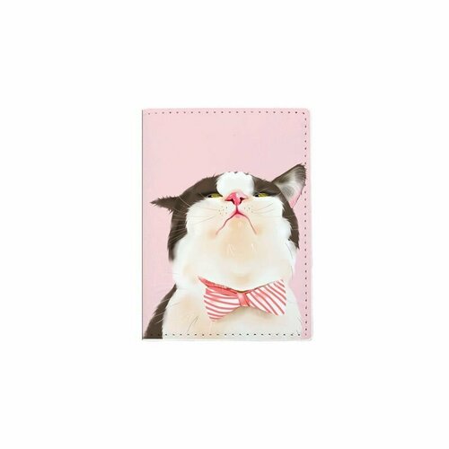 Обложка для паспорта Bag & You О-226, розовый, серый