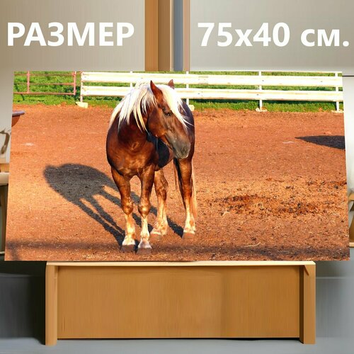 Картина на холсте "Лошадь, животное, млекопитающие" на подрамнике 75х40 см. для интерьера