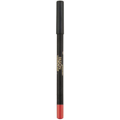 Ninelle карандаш для губ Pasion, 221 Пыльный розовый
