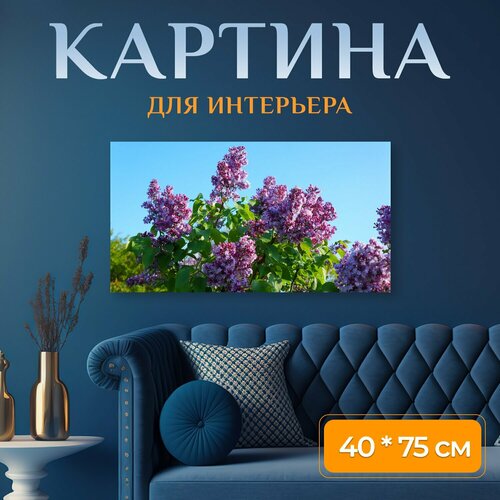 Картина на холсте "Природа, растения, фиолетовый" на подрамнике 75х40 см. для интерьера