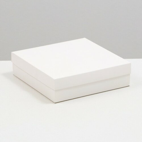 Коробка складная, крышка-дно, белая, 23 х 23 х 6,5 см .5 шт.