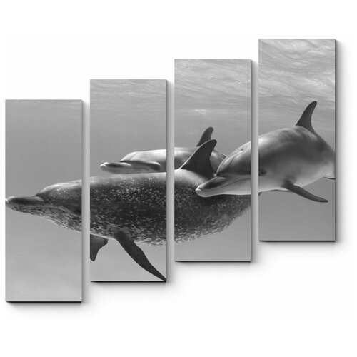 Модульная картина Трио пятнистых дельфинов 110x95