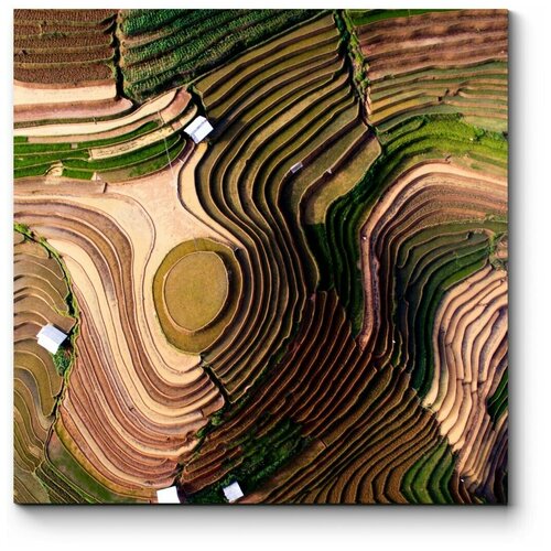 Модульная картина Рисовые поля с высоты птичьего полета 70x70