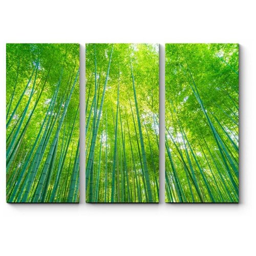 Модульная картина Бамбуковый лес 120x86