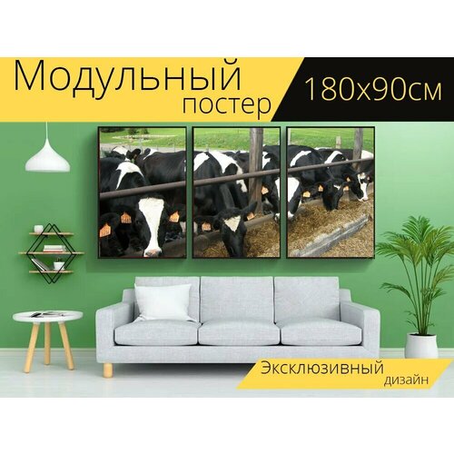 Модульный постер "Крупный рогатый скот, земледелие, коровы" 180 x 90 см. для интерьера