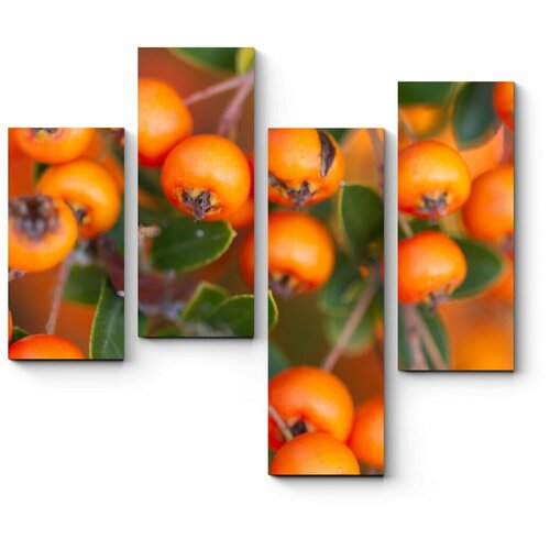 Модульная картина Спелые ягоды рябины 144x135