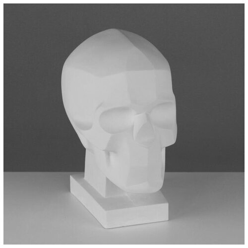 Мастерская Экорше Гипсовая фигура анатомическая: обрубовка черепа по Баммесу, 23,5 х 16 х 27 см