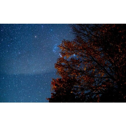 Картина на холсте 60x110 LinxOne "Дерево, звездное небо, ночь" интерьерная для дома / на стену / на кухню / с подрамником