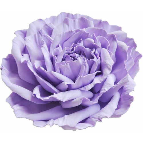 Заколка-брошь для волос/одежды/сумки большой цветок роза лиловая 0010